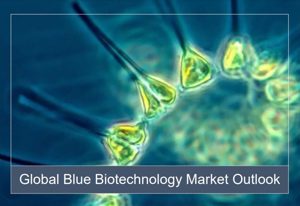 Global Blue Biotechnology Market Outlook